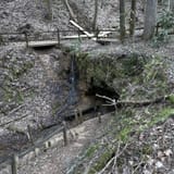 Peg Leg Mine Trail, Tennessee - 79 Reviews, Map | AllTrails