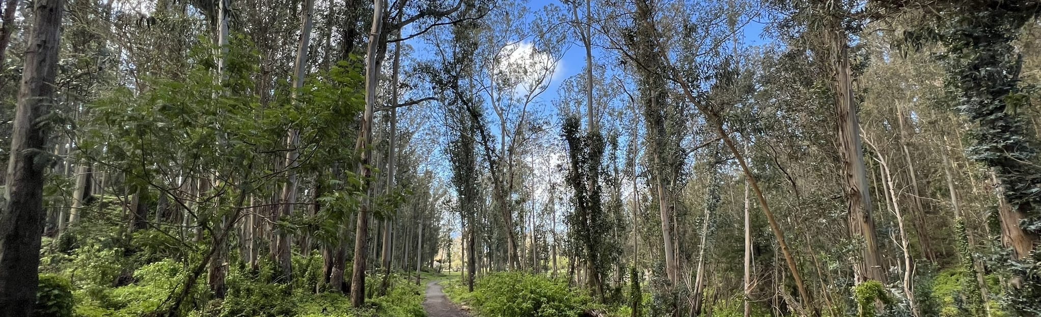 Quarry Park Loop: 433 Reviews, Map - California | AllTrails