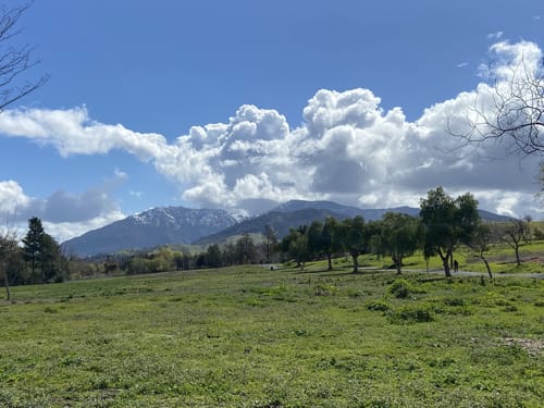 Best Hikes and Trails in Newhall Community Park | AllTrails