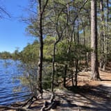 Cape Henry Trail, Virginia - 553 Reviews, Map | AllTrails