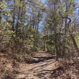 Cape Henry Trail, Virginia - 553 Reviews, Map | AllTrails