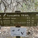Tanawha Trail, North Carolina - 40 Reviews, Map | AllTrails