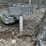 Tanawha Trail, North Carolina - 40 Reviews, Map | AllTrails