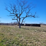 ChesLen Preserve Yellow Loop, Pennsylvania - 640 Reviews, Map | AllTrails