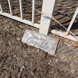 Damonte Ranch Wetland Loop, Nevada - 1,083 Reviews, Map | AllTrails