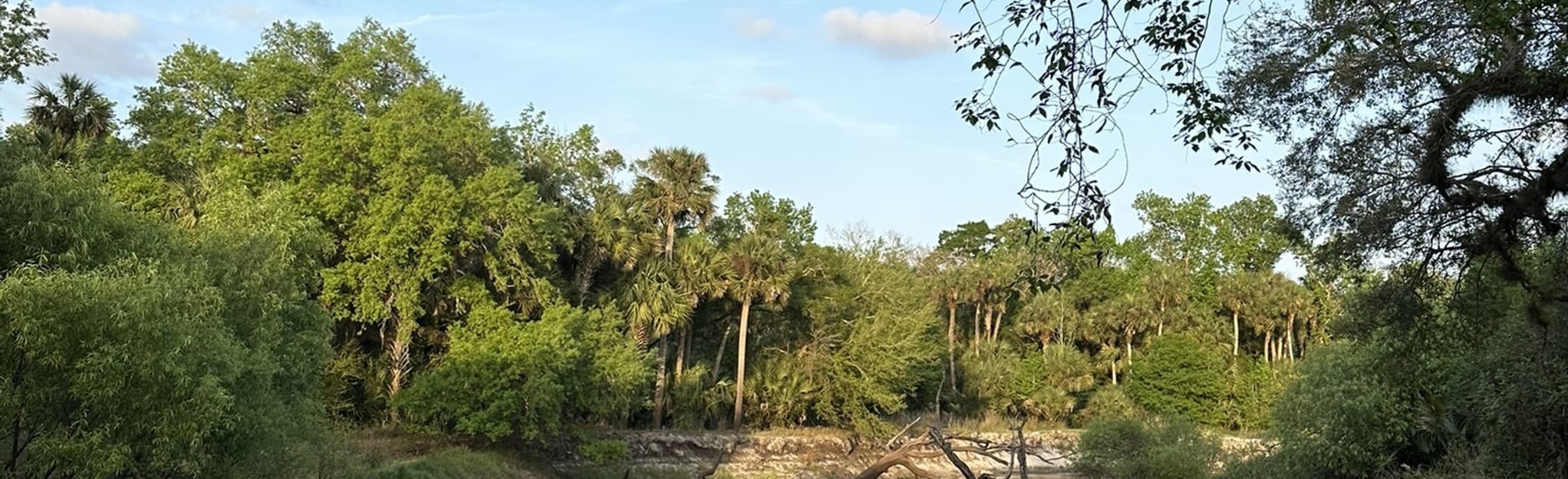 Econlockhatchee River Trail, Florida - 281 Reviews, Map | AllTrails