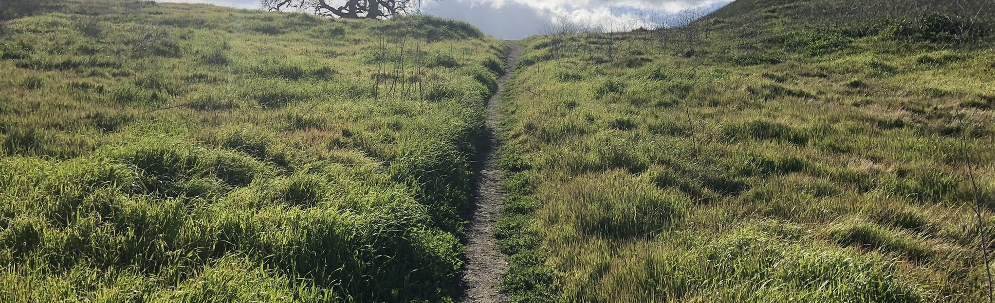 Morrison Ranch, Cheeseboro Ridge Trail, and Edison Road Loop ...