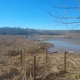 Point of Rocks Trail, Virginia - 442 Reviews, Map | AllTrails