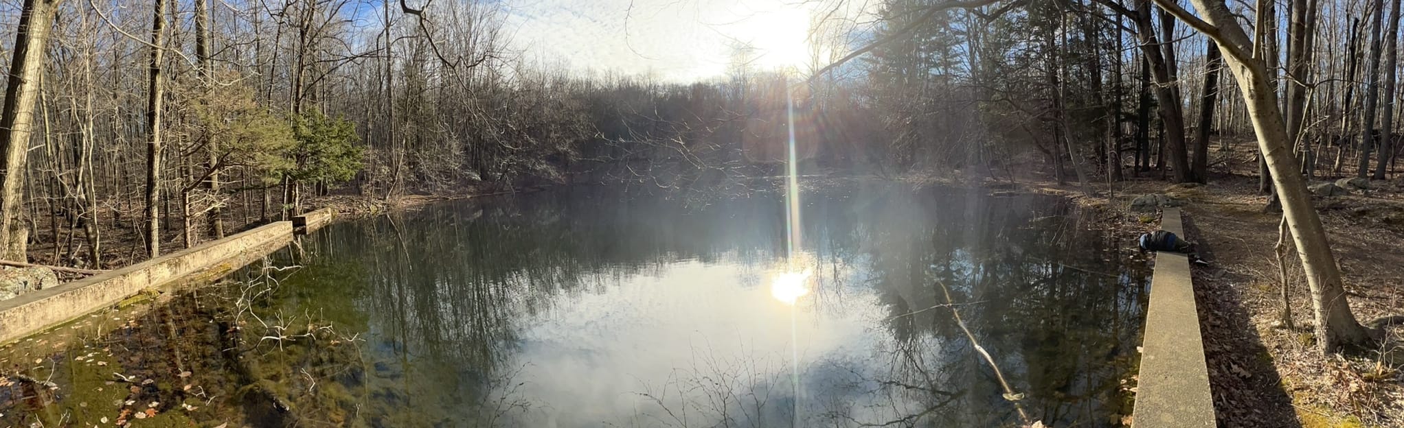 Stephenson Preserve Loop , Connecticut - 153 Reviews, Map | AllTrails