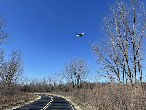 Best Hikes and Trails in Songbird Slough Forest Preserve | AllTrails