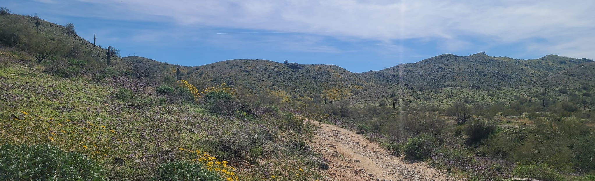 Javelina to Mormon Loop: 510 Reviews, Map - Arizona | AllTrails