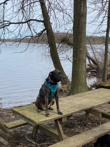 Best Hikes and Trails in Walborn Reservoir | AllTrails