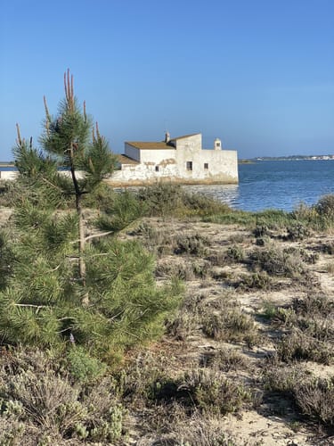 2023 Best Beach Trails in Fuseta | AllTrails