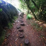 Labyrinth Rocks Park Walk, Nelson-Tasman, New Zealand - 47 Reviews, Map ...