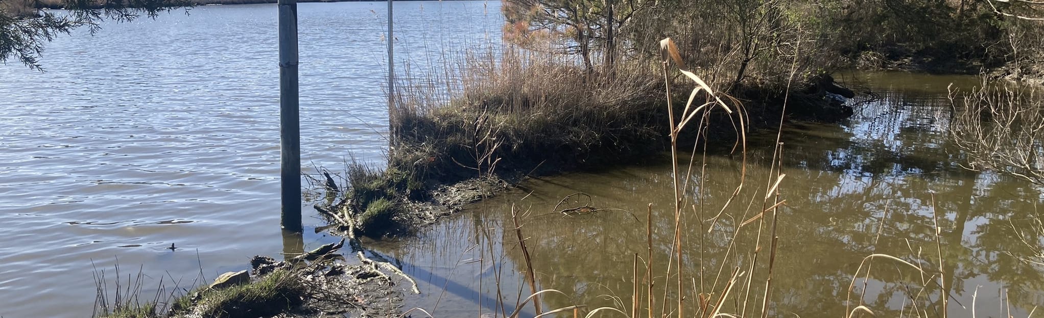 Elizabeth River Virginia Beach Trail | Map, Guide - Virginia | AllTrails