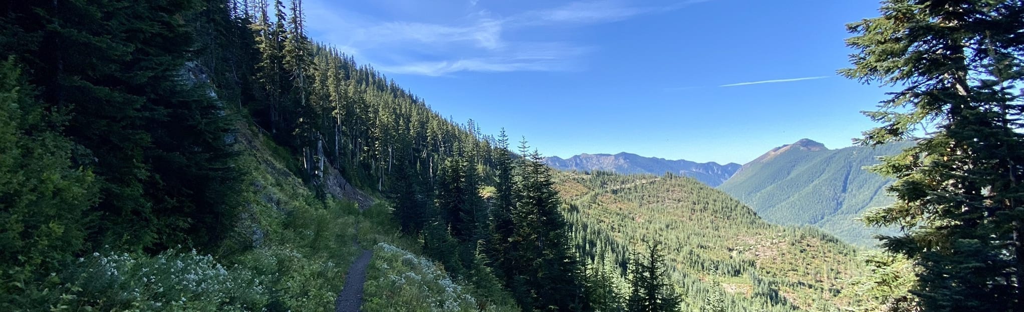 Strawberry Lake, Washington - 21 Reviews, Map | AllTrails