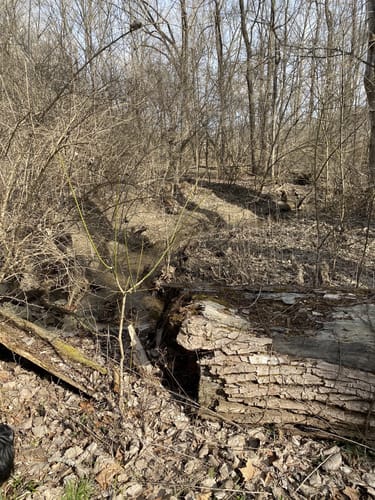Best Hikes and Trails in Turkey Foot Nature Park | AllTrails