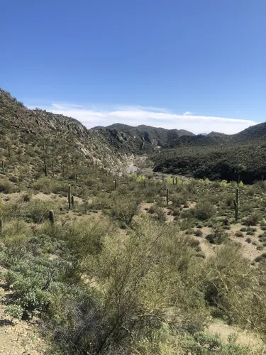 Best Camping Trails in Black Canyon City | AllTrails