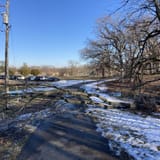 Emricson Park Loop, Illinois - 55 Reviews, Map | AllTrails