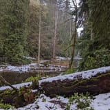 Yellow Point Bog Ecological Reserve and Yellow Point Park Loop, British ...