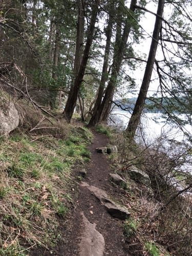 Best Hikes and Trails in Drumbeg Provincial Park | AllTrails