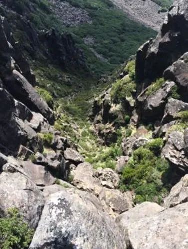 Best Hikes and Trails in Mount Barrow State Reserve | AllTrails