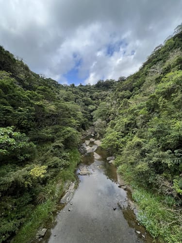 Best Hikes and Trails in Shuangliu National Forest Recreation Area ...