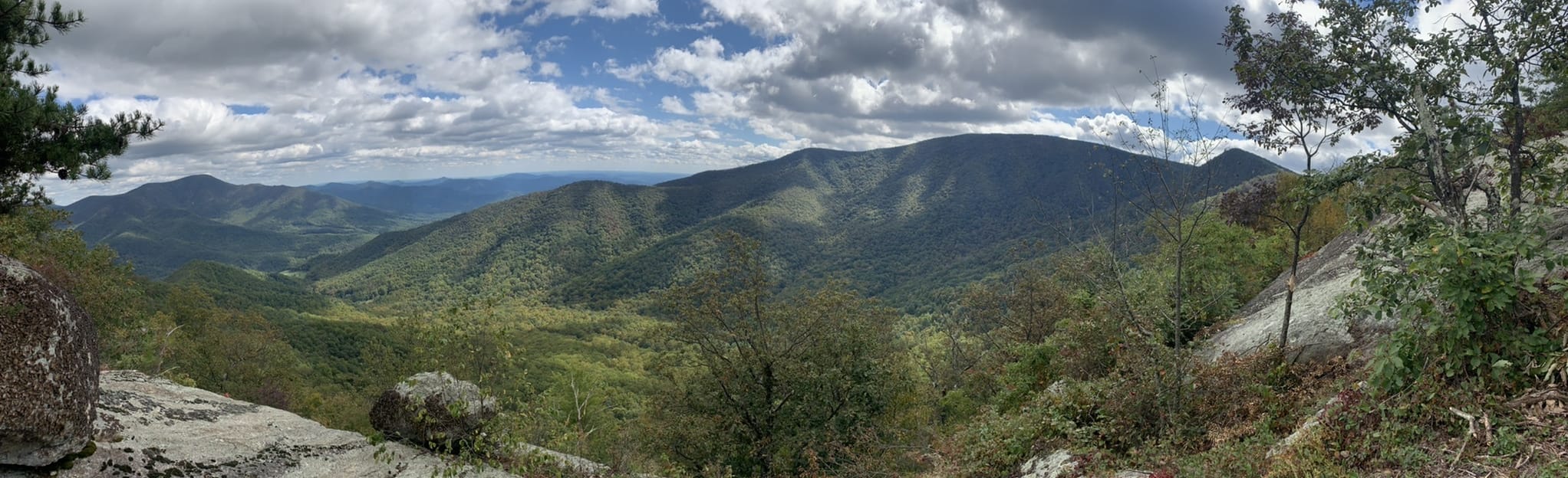 Crabtree Meadows to Pinnacle Rocks: 52 Reviews, Map - Virginia | AllTrails