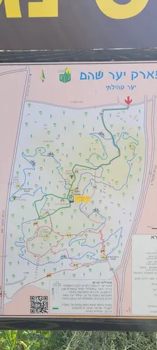 Best Hikes and Trails in Shoham Forest | AllTrails