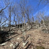 Redman Run Trail, West Virginia - 130 Reviews, Map | AllTrails