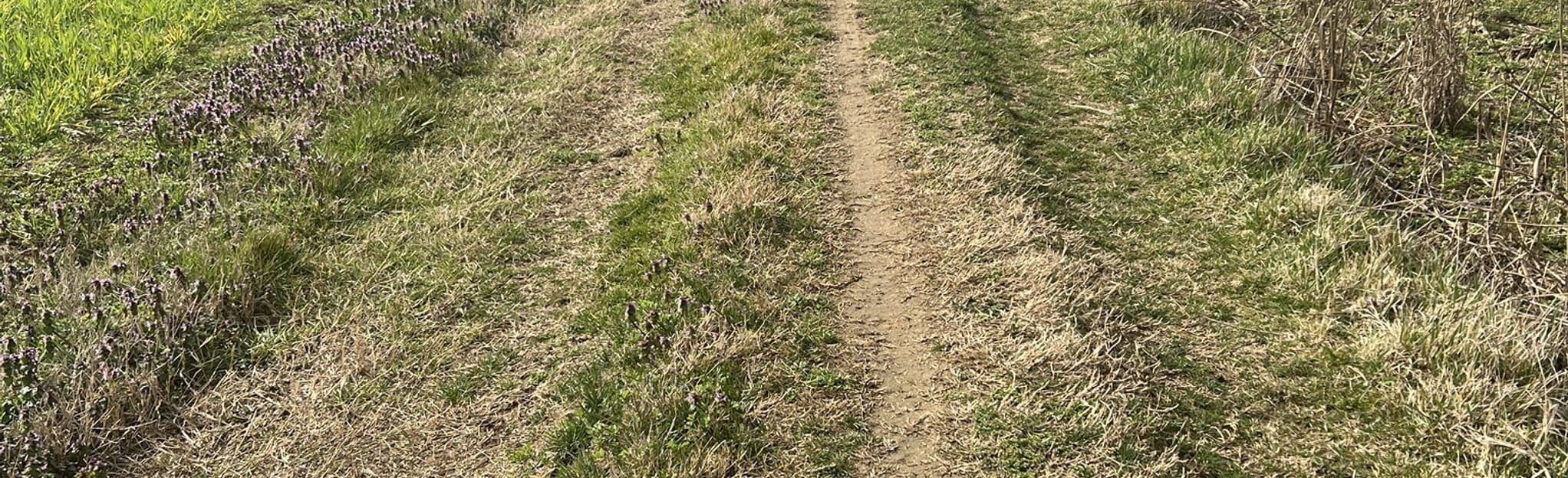 Parco Rio Vallone, Lombardy, Italy - 2 Reviews, Map | AllTrails