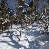 Butler Lodge Trail, Vermont - 484 Reviews, Map | AllTrails