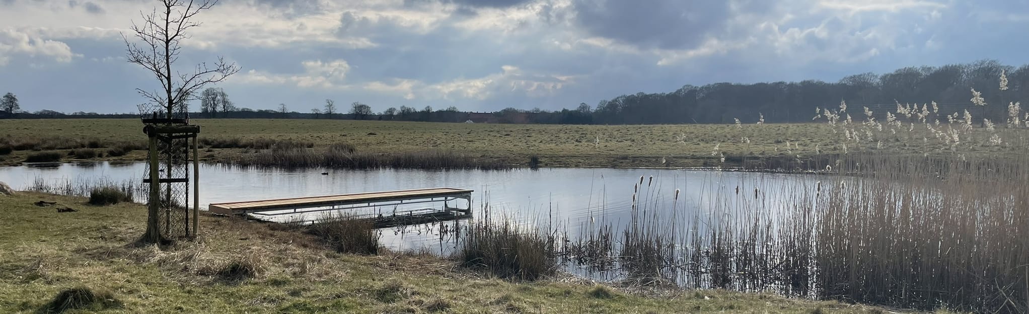 Naturparken Hindsgavl Dyrehave - Karolineplantage, Region of Southern ...