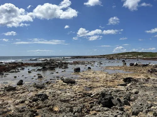 Best Hikes and Trails in Anguilla | AllTrails