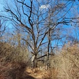 Muscoot Farm Loop, New York - 166 Reviews, Map | AllTrails