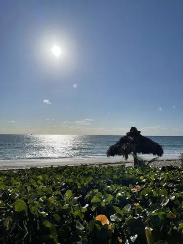 Best Hikes and Trails in Ocean Ridge Natural Area | AllTrails