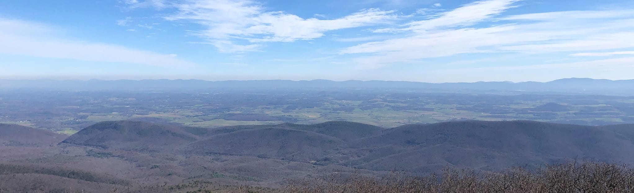 Elliott Knob Trail, Virginia - 217 Reviews, Map | AllTrails