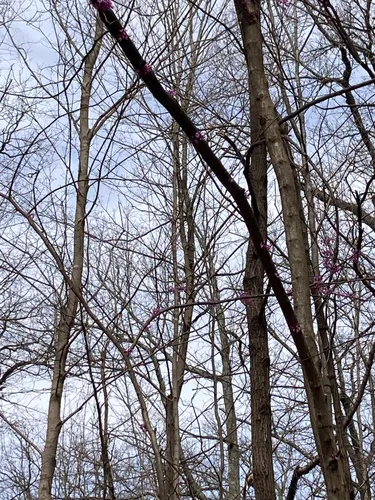 Best Hikes and Trails in High Ground Park | AllTrails
