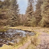 Snake Woodland and Snake Path Circular, Derbyshire, England - 223 ...