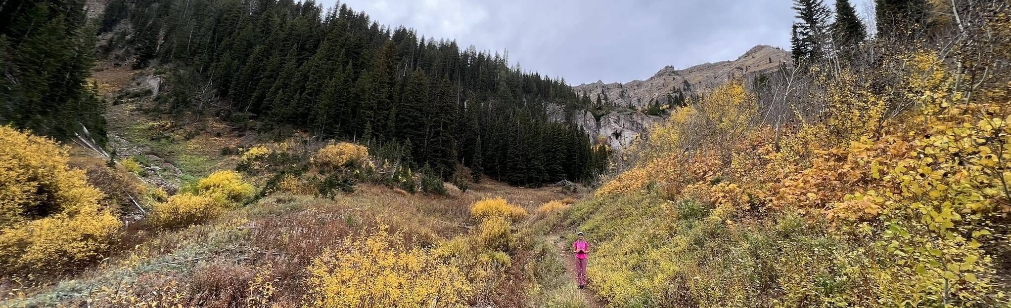 Mount Wagner Trail: 22 Reviews, Map - Wyoming | AllTrails