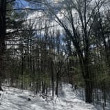 Provin Park Trail, Michigan - 793 Reviews, Map | AllTrails