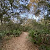 Mala Compra Hiking Trail, Florida - 120 Reviews, Map | AllTrails