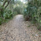 Mala Compra Hiking Trail, Florida - 120 Reviews, Map | AllTrails