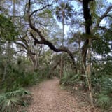 Mala Compra Hiking Trail, Florida - 120 Reviews, Map | AllTrails