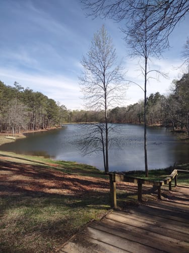 Best Hikes and Trails in John Tanner State Park | AllTrails
