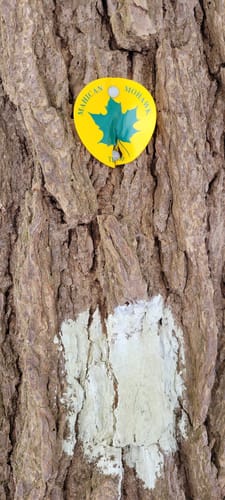 2023 Best Views Trails in Mohawk Trail State Forest | AllTrails