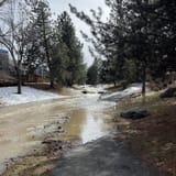 Caughlin Ranch Trails, Nevada - 739 Reviews, Map | AllTrails