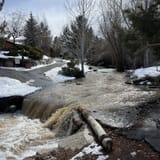 Caughlin Ranch Trails, Nevada - 739 Reviews, Map | AllTrails