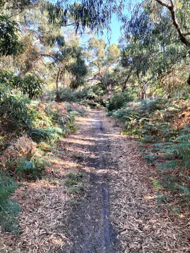 Best Hikes and Trails in Western Port Coastal Reserve | AllTrails