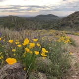 Hawes Trail System Loop, Arizona - 1,020 Reviews, Map | AllTrails